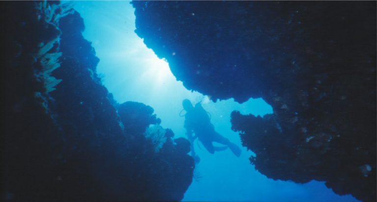 Sodwana Bay Diving | South Africa's Top Dive Spot 🌊