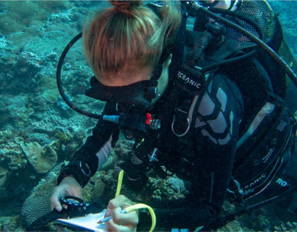 Coral Divers Gallery