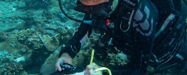 Diving in Sodwana Bay: Explore Now! 🌊