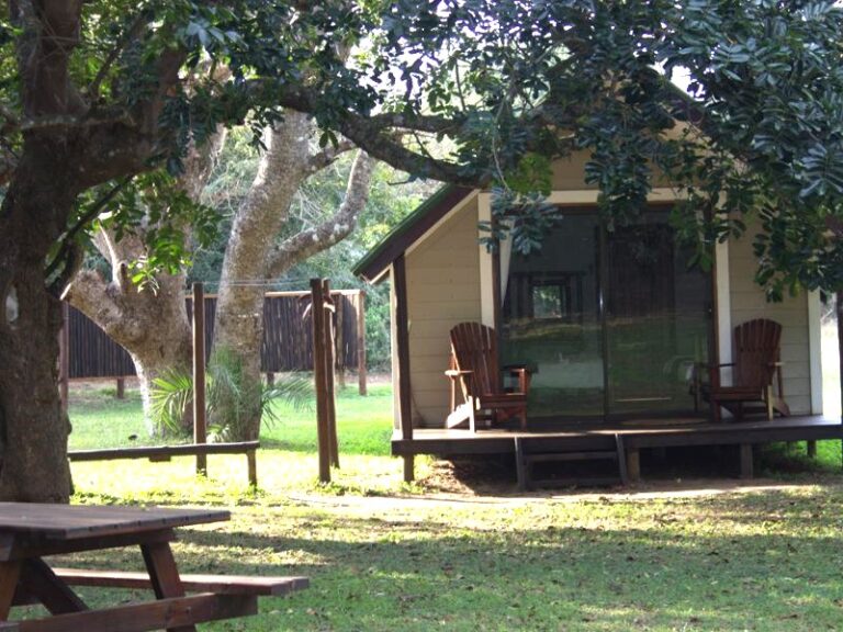 Diving in Sodwana Bay: Explore Now! 🌊