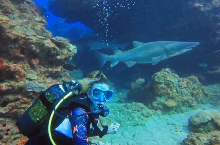 Diving in Sodwana Bay: Explore Now! 🌊